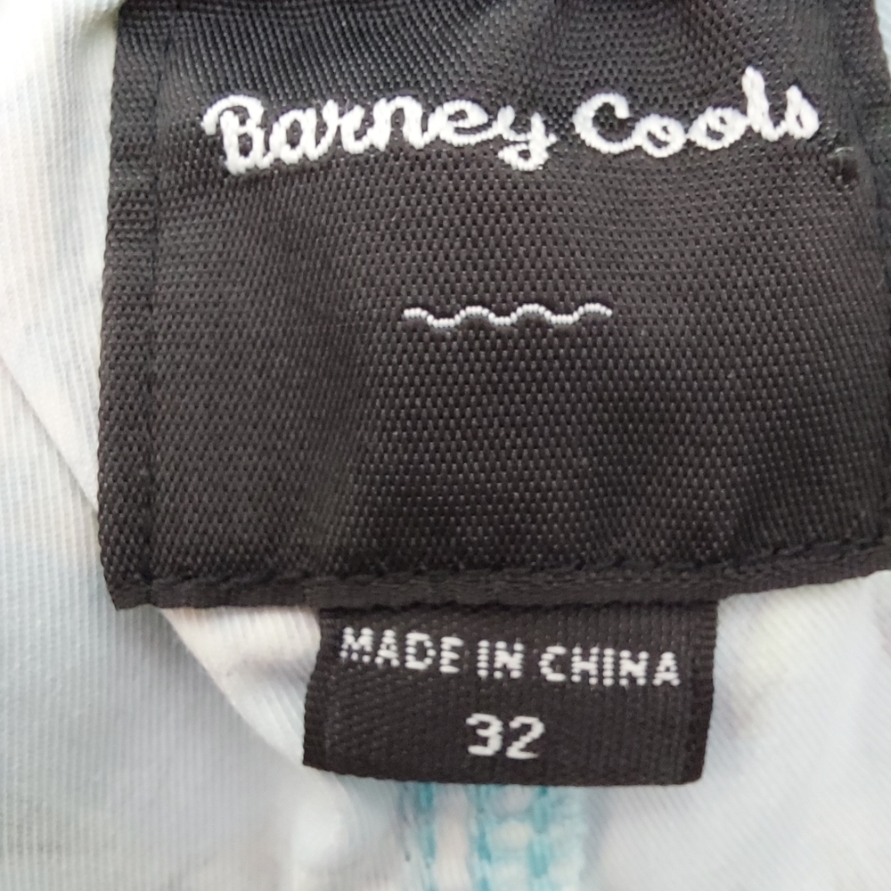 Barney Cools Mens Pineapple Print Swim Trunks - Gem